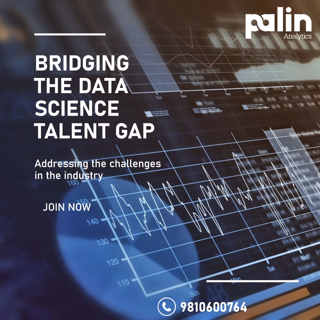 Bridging The Data Science Talent Gap | Palin Analytics